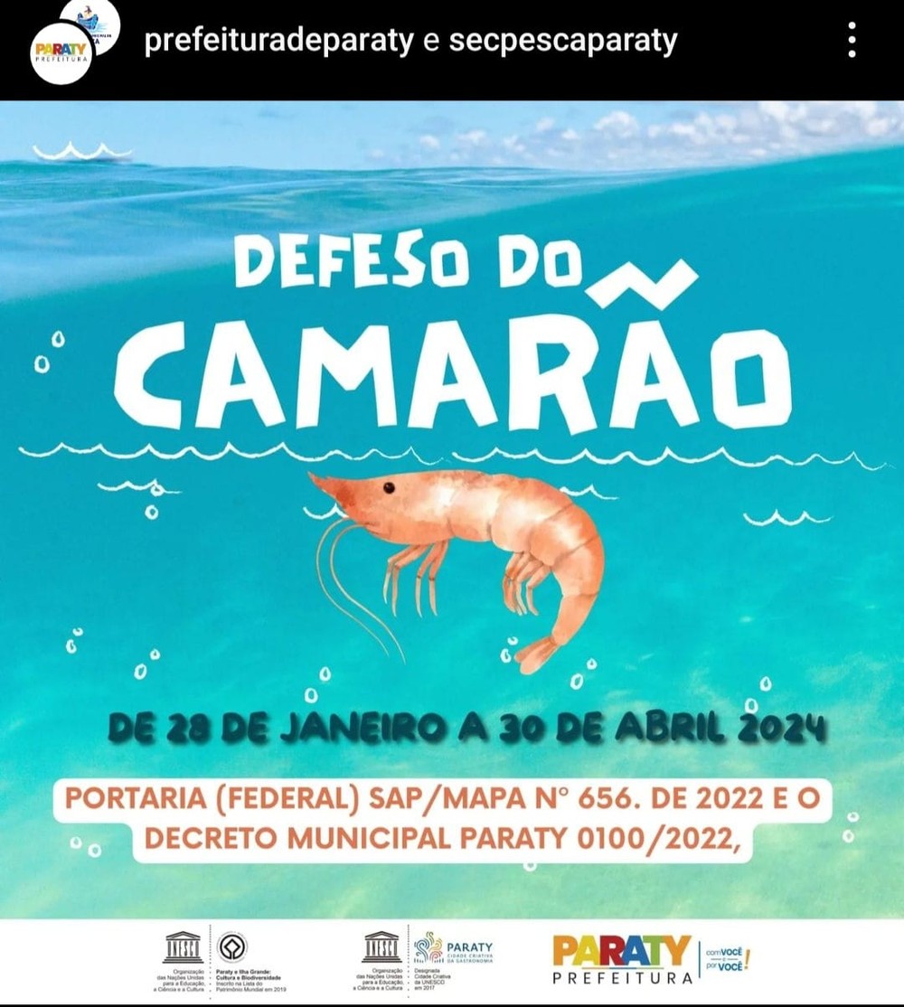Paraty Defeso do camarão tem período divulgado pela prefeitura