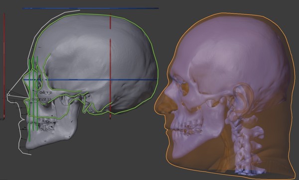Brasileiro que revelou o rosto de Dante Alighieri, o autor de 'A Divina ...