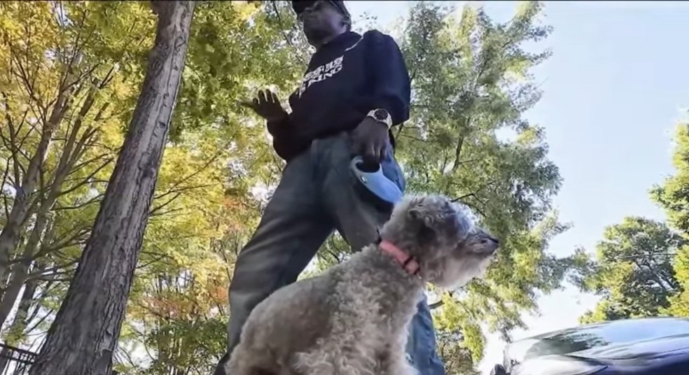 Cão roubado há 10 anos é resgatado e devolvido ao dono em reencontro emocionante
