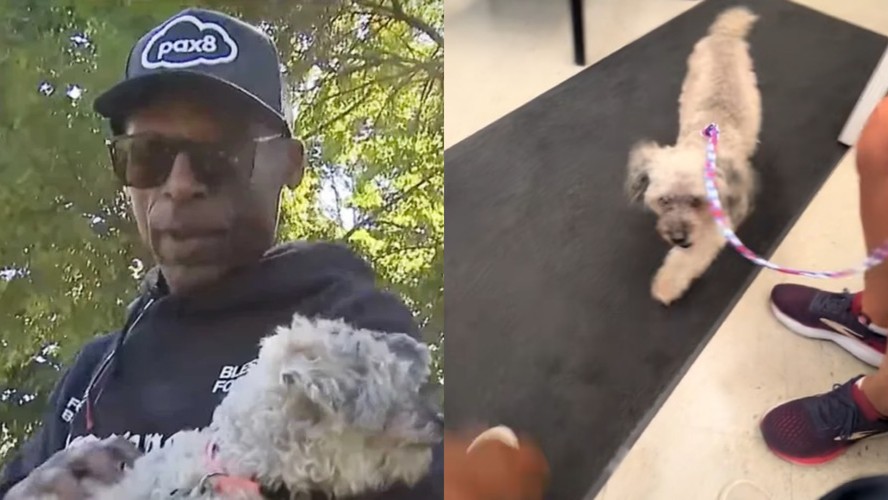 Cão roubado há 10 anos é resgatado e devolvido ao dono em reencontro emocionante