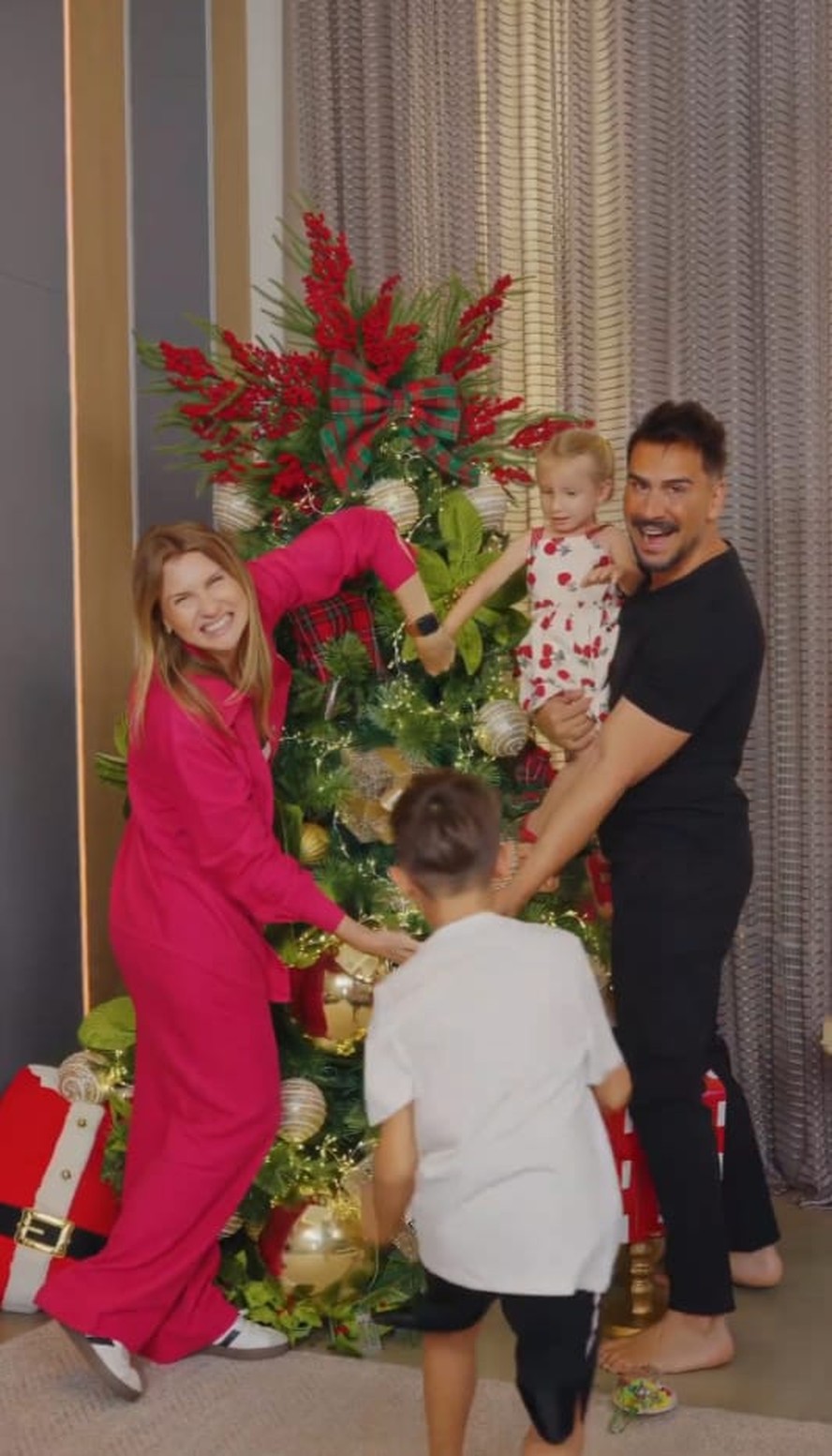 Árvore de 2,10 m e R$ 12 mil em enfeites: ator de ‘Três Graças ...