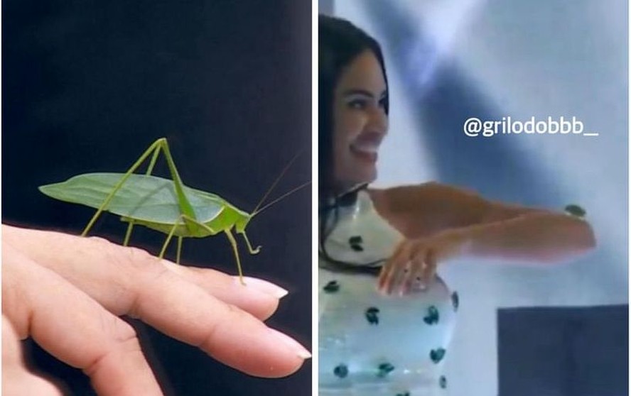 Após ter perfil criado nas redes sociais, Grilo de Isabelle no 'BBB ...