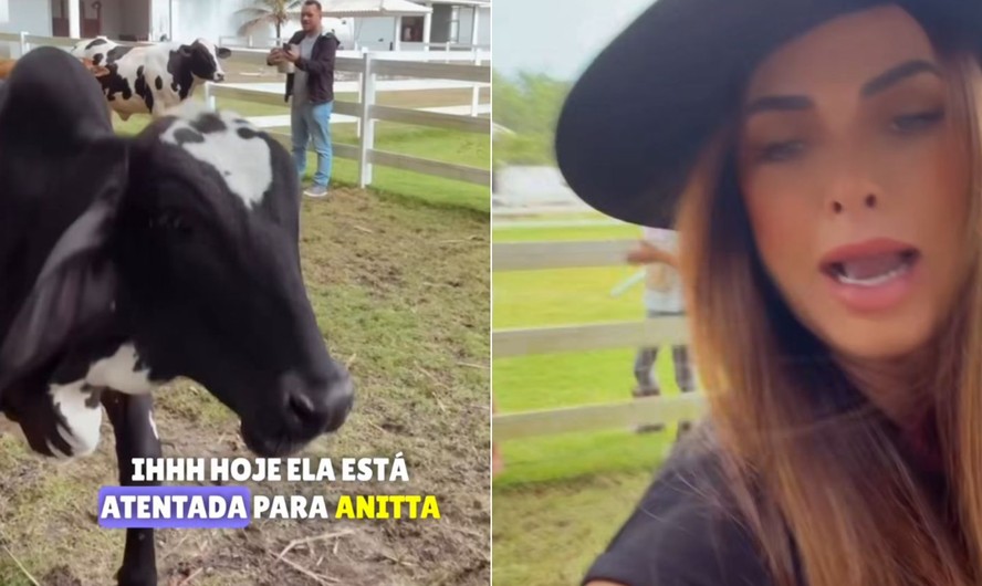 Vaca de Nicole Bahls corre atrás da modelo: 'Anitta vai me machucar ...