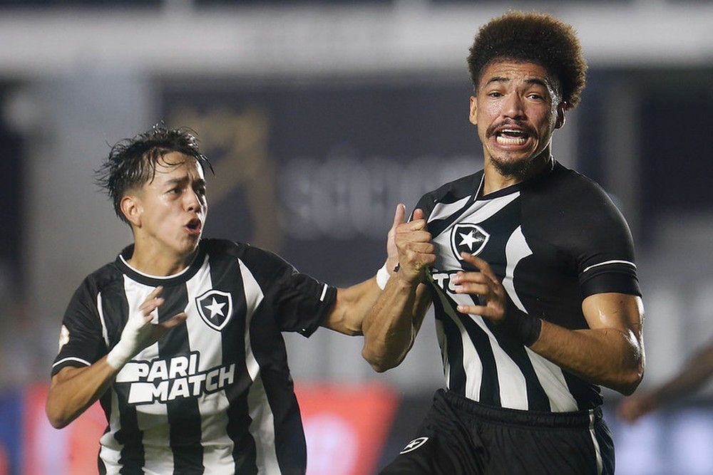 Minhas Impressões: Botafogo caminha para bater o recorde do Corinthians ...