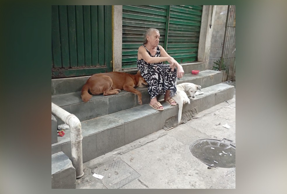 Aposentada foi morta por bala perdida enquanto conversa com vizinhos na ...