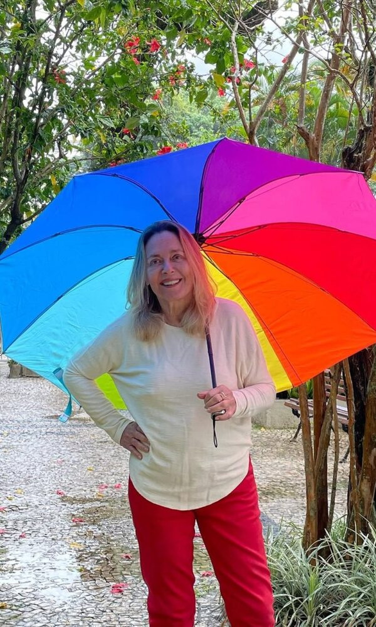 Maria Zilda cita fratura na coluna e busca de trabalho após recuperação ...