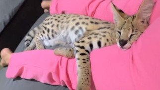 MC Oruam conta reação do pai Marcinho VP na prisão ao saber do sucesso ...