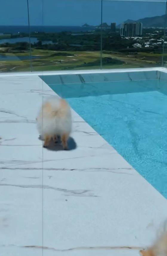 Agora no Fluminense, Douglas Costa vai morar com a mulher e a filha em ...