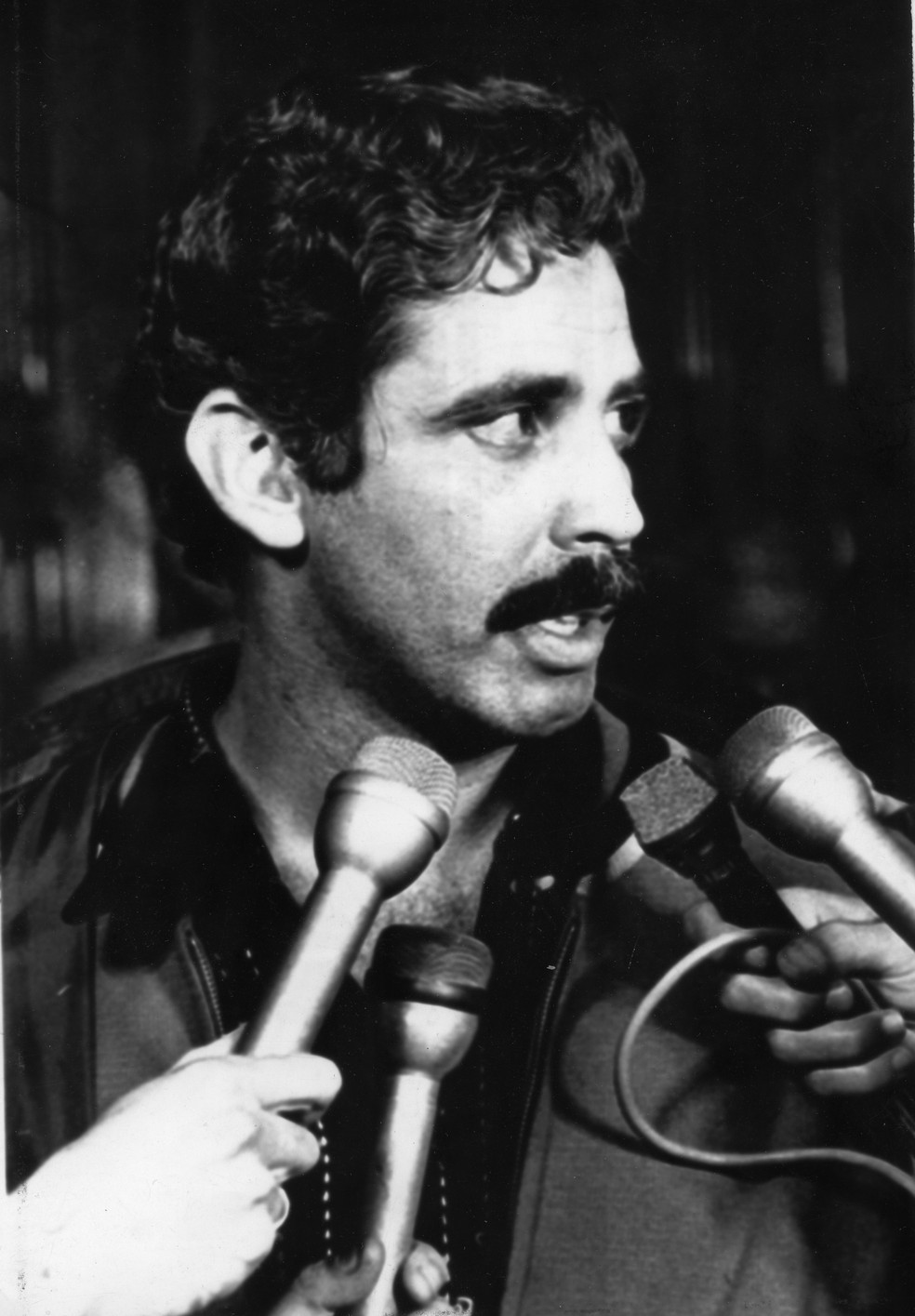 Irmã de Susana Vieira fala de encontro com famoso policial bandido que ...