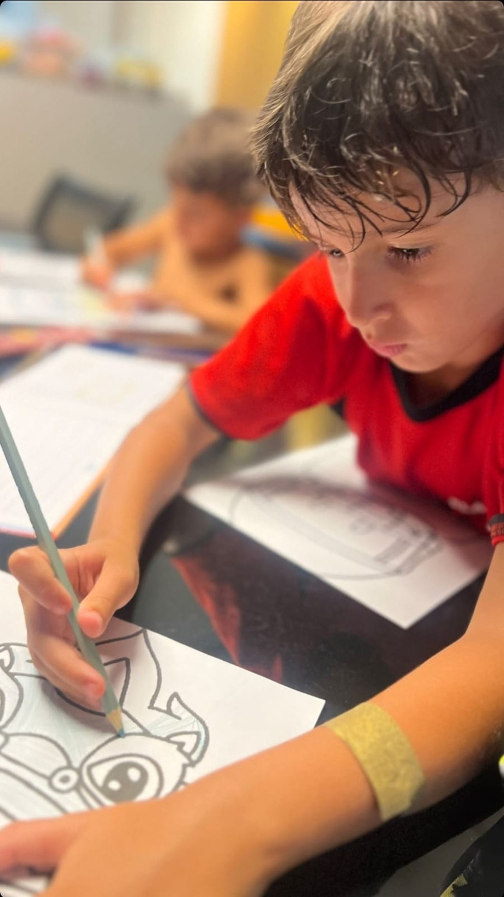 Em meio a expectativa por anúncio, nora de Tite publica registro de ...