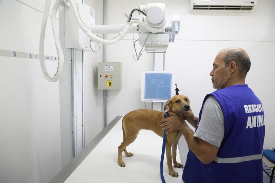 Rio vai ganhar mais um hospital veterinário, em Irajá | Extra, Extra ...