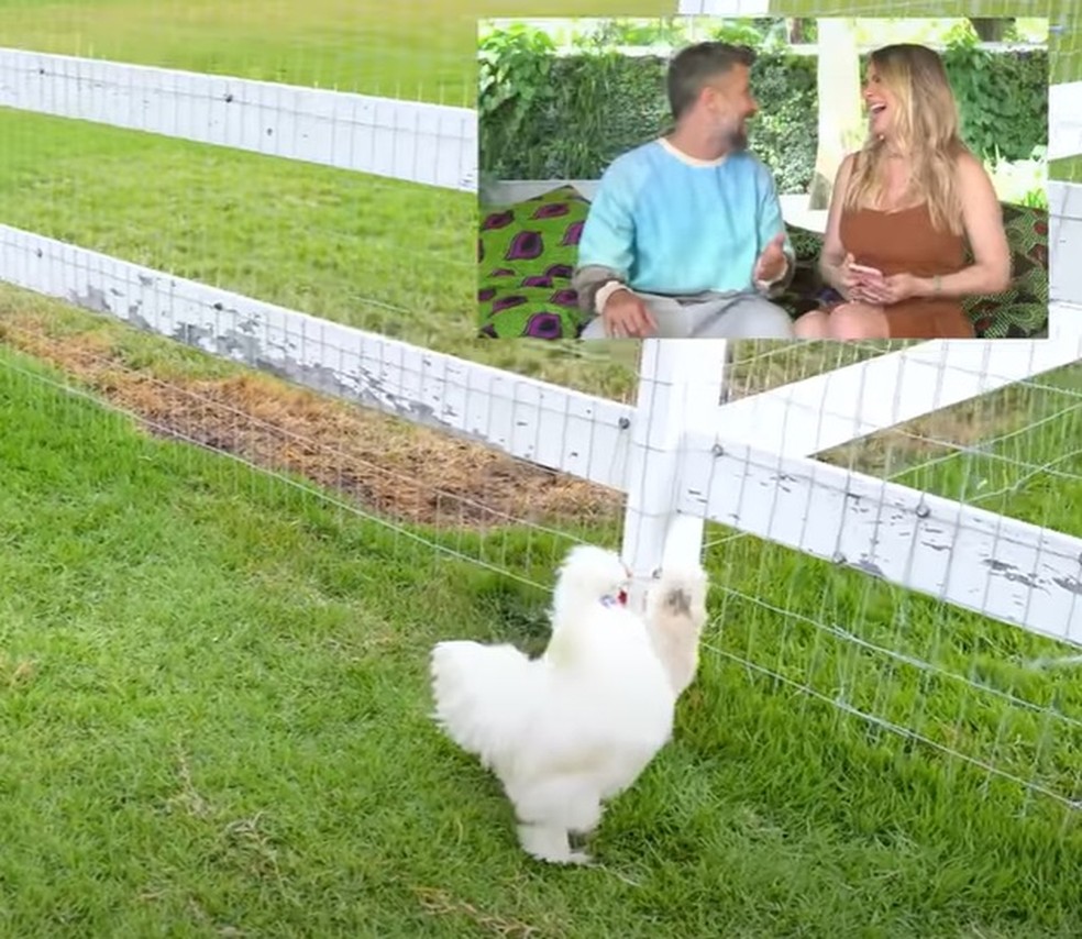 Anitta, Ludmilla e mais: conheça os animais do sítio de Nicole Bahls ...