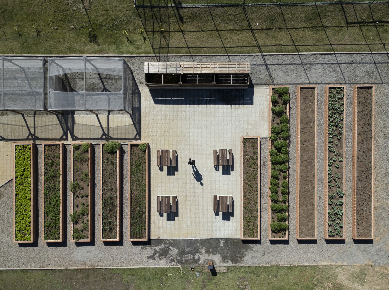 Parque Realengo Susana Naspolini: plantio de 3,7 mil árvores e ...