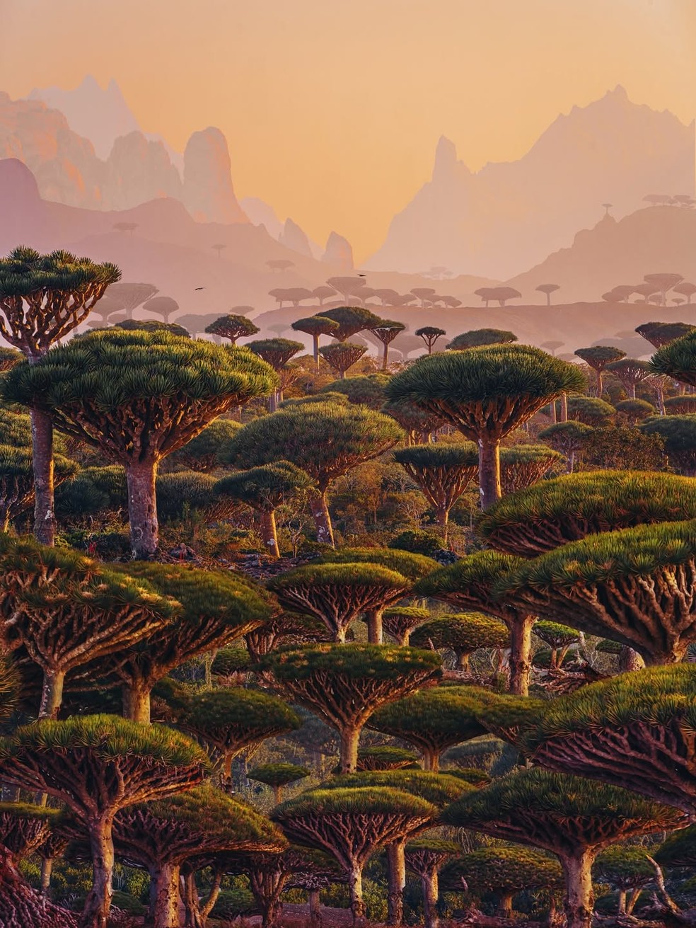 Fotógrafa russa viraliza ao mostrar lugares que parecem ter 'saído de ...