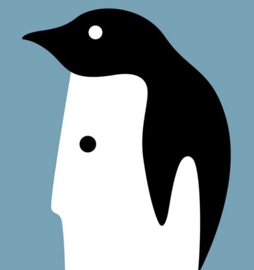 O que você vê? Ilusão de óptica viraliza nas redes