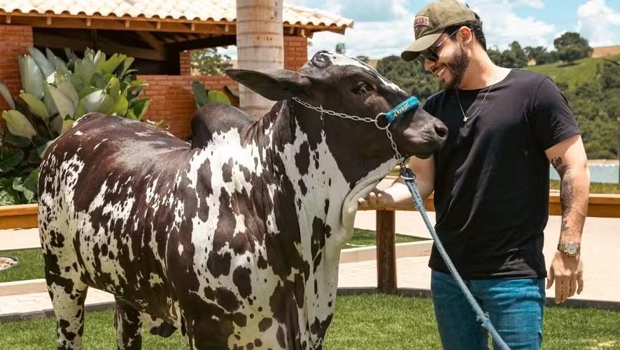 Cachê de estrela, vaca de R$ 2 milhões, jatinho: o patrimônio de Murilo ...