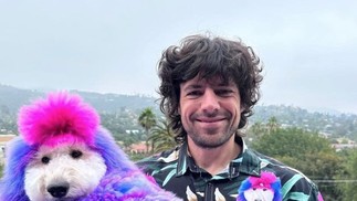 Tutora de cadela é acusada de crueldade por tingir pelos de poodle, que ...