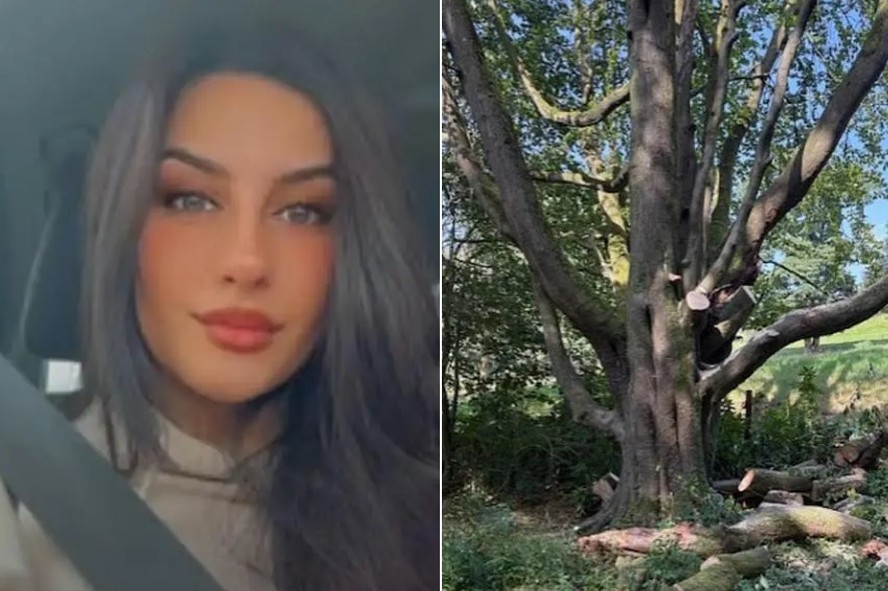 Mulher salva a filha, mas acaba atingida por queda de galho de árvore e morre: 'Heroína'