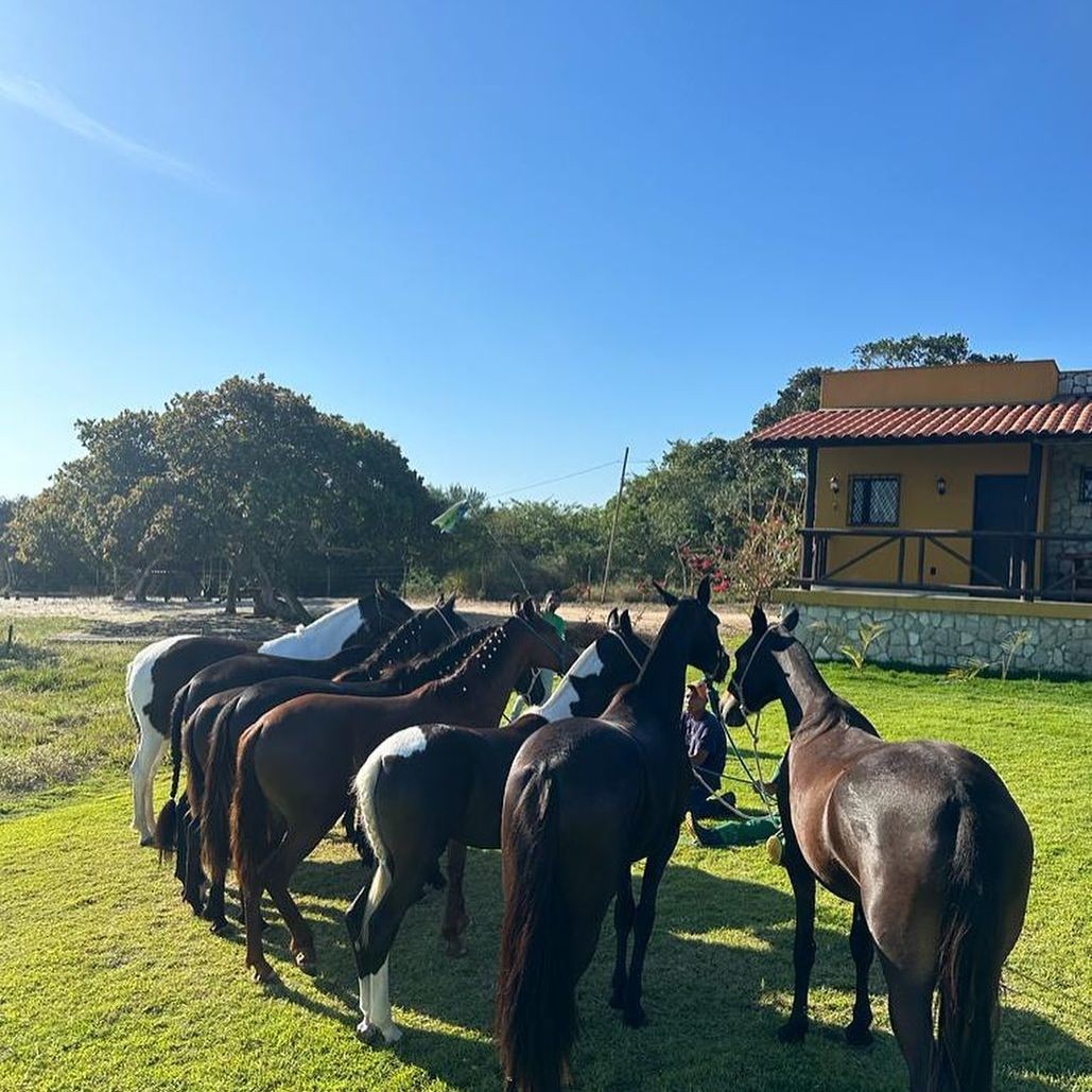 Maurício Mattar revela ter sido processado duas vezes por filha e relaciona episódio a infarto ...