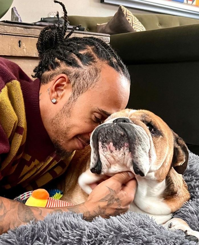 Cão de Lewis Hamilton tem 1 milhão de seguidores, cachê para modelar, é ...