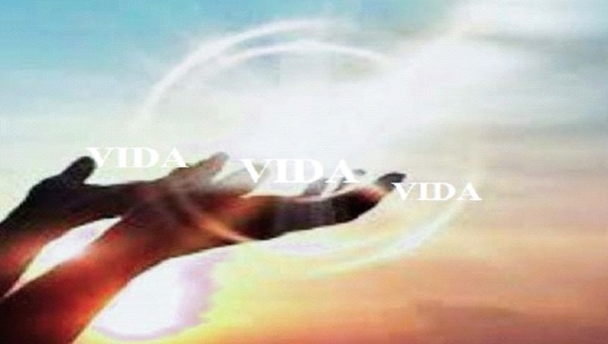 A vida é um prêmio de Deus que devemos aproveitá-lo ao máximo