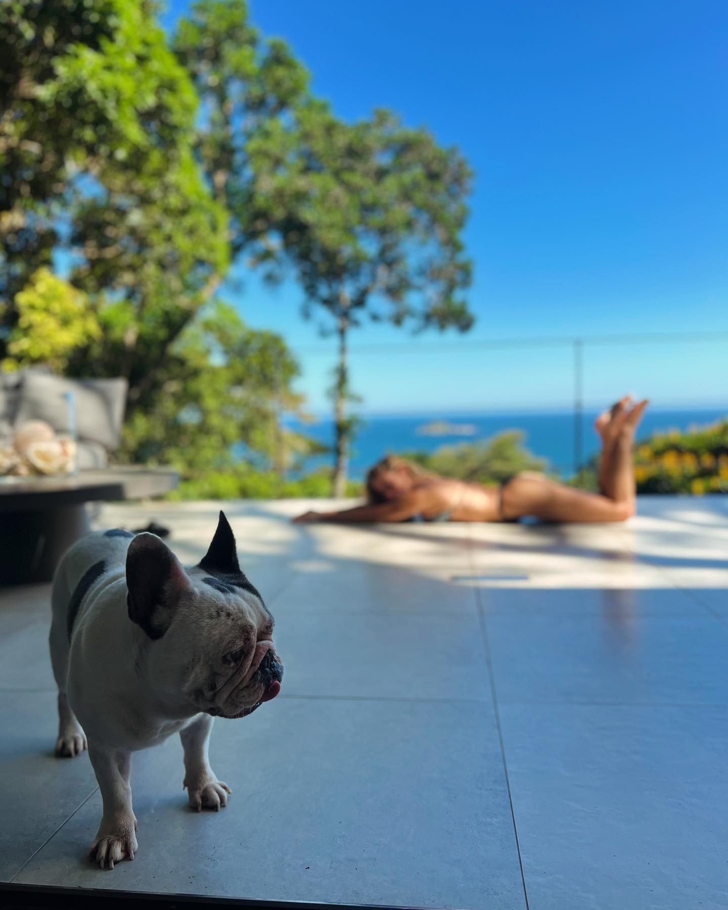Cauã Reymond mostra piscina de sua mansão em meio à natureza, no Rio; vídeo