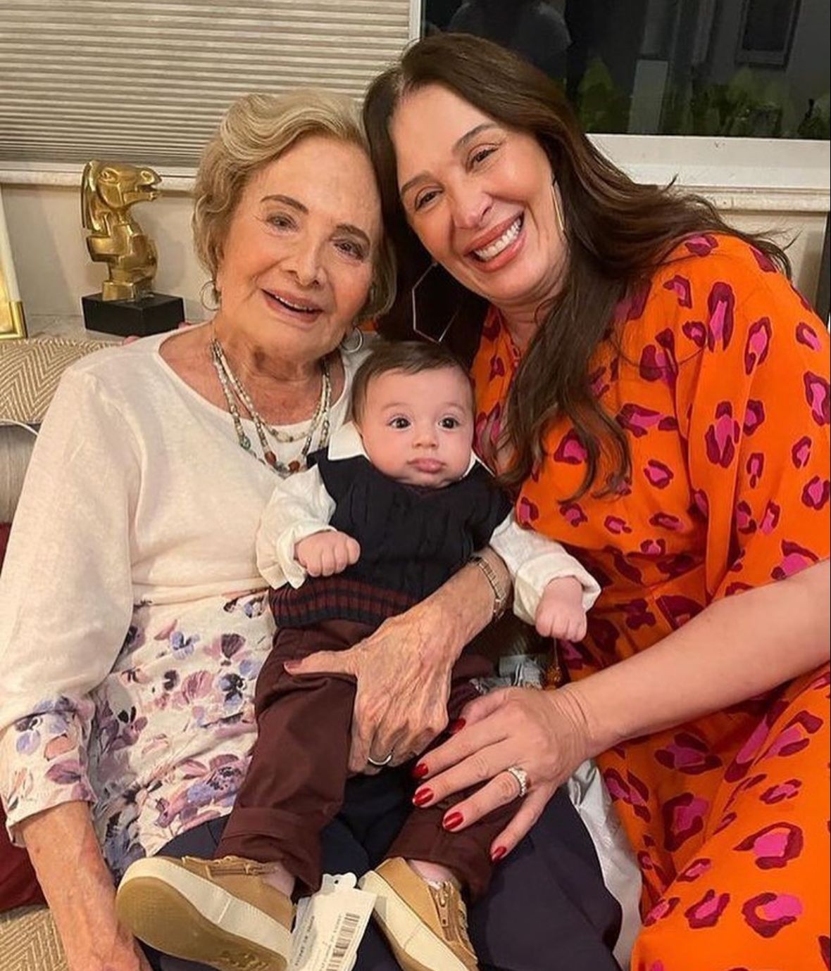 Aos 89 anos, Glória Menezes explica cadeira de rodas e fala da morte de ...