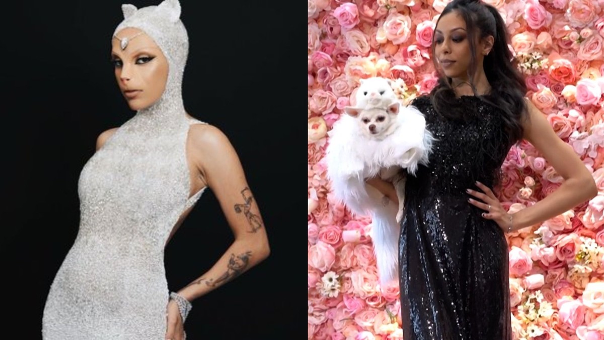 'Pet Gala': cadela rouba a cena com look de gato inspirado na cantora ...