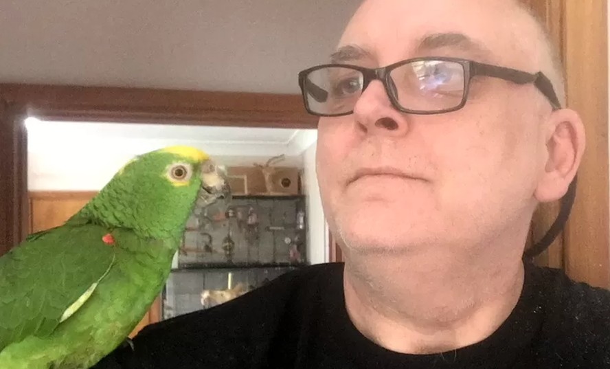 Polícia corre para socorrer ‘mulher aos gritos’, mas encontra papagaio ...