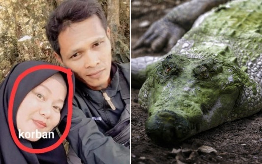 Grávida que preparava comida é arrastada da cozinha de casa e morta por crocodilo