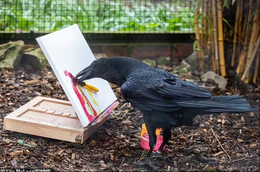 Obras de corvo artista comparado a Jackson Pollock são vendidas a cerca de R$ 100