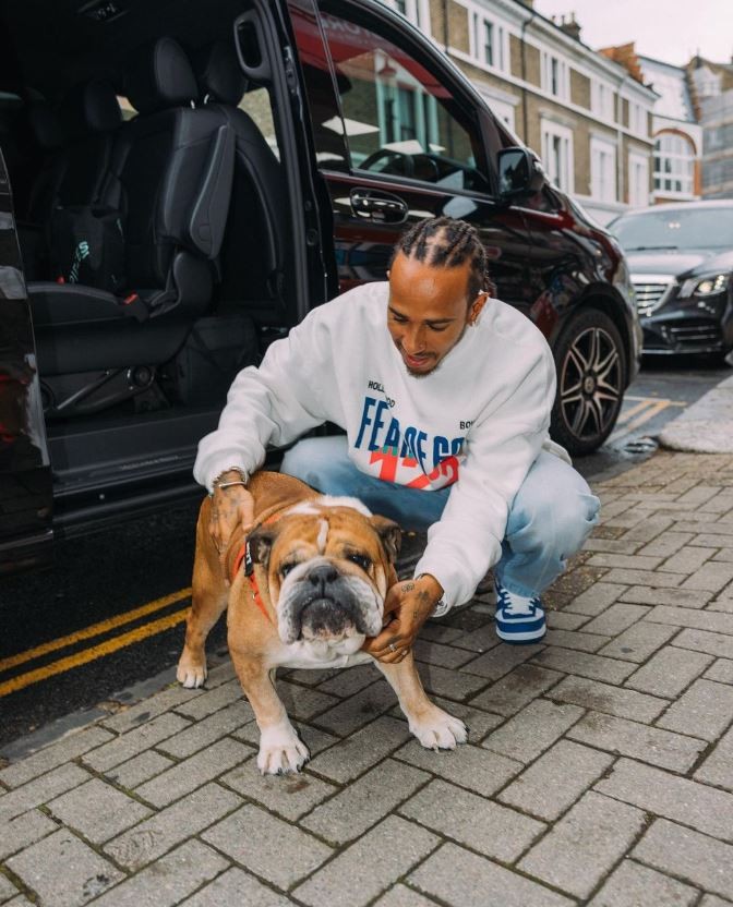 Cão de Lewis Hamilton tem 1 milhão de seguidores, cachê para modelar, é ...