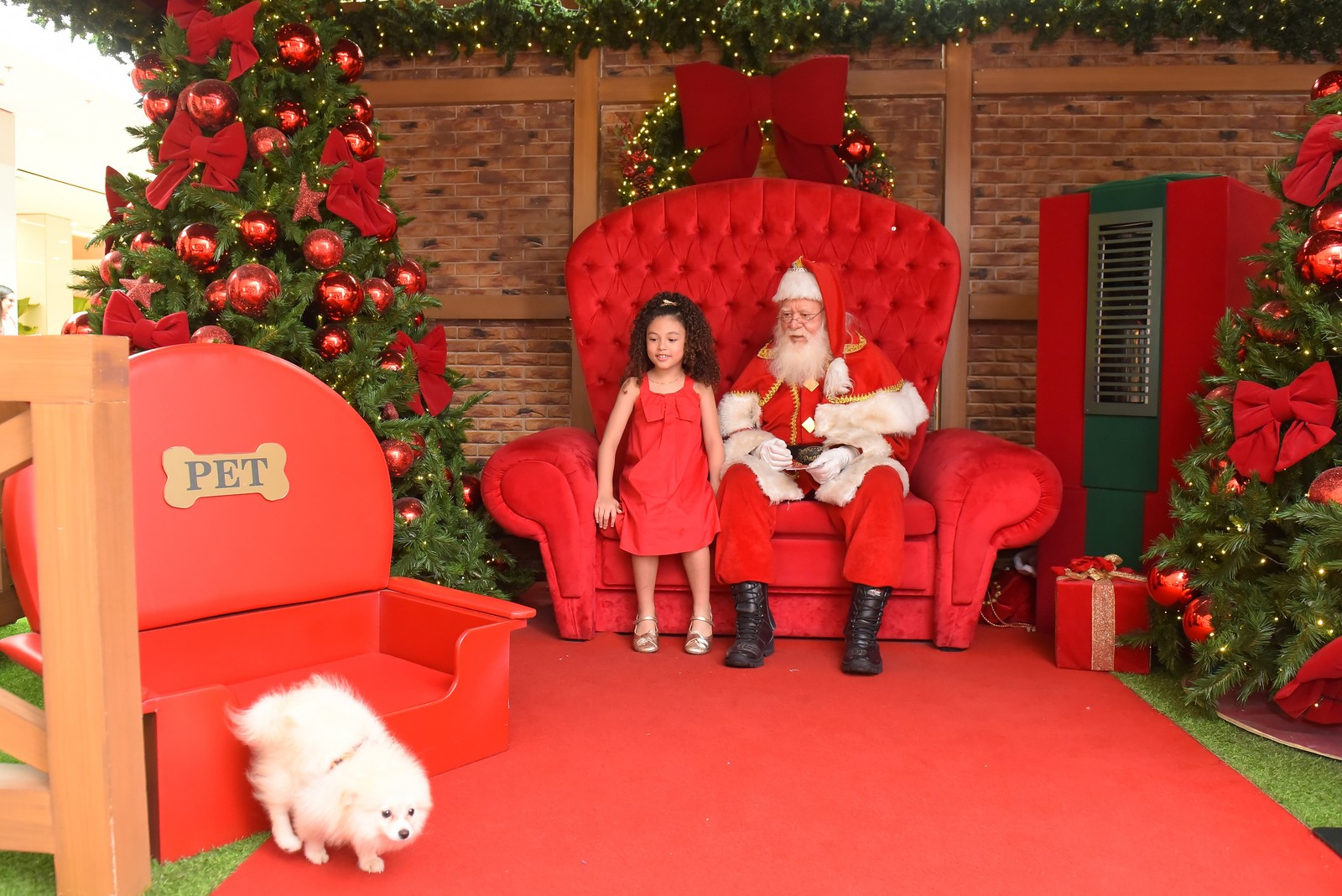 Elis Cabral, a Sofia de 'Dona de mim', faz seu pedido a Papai Noel e ...