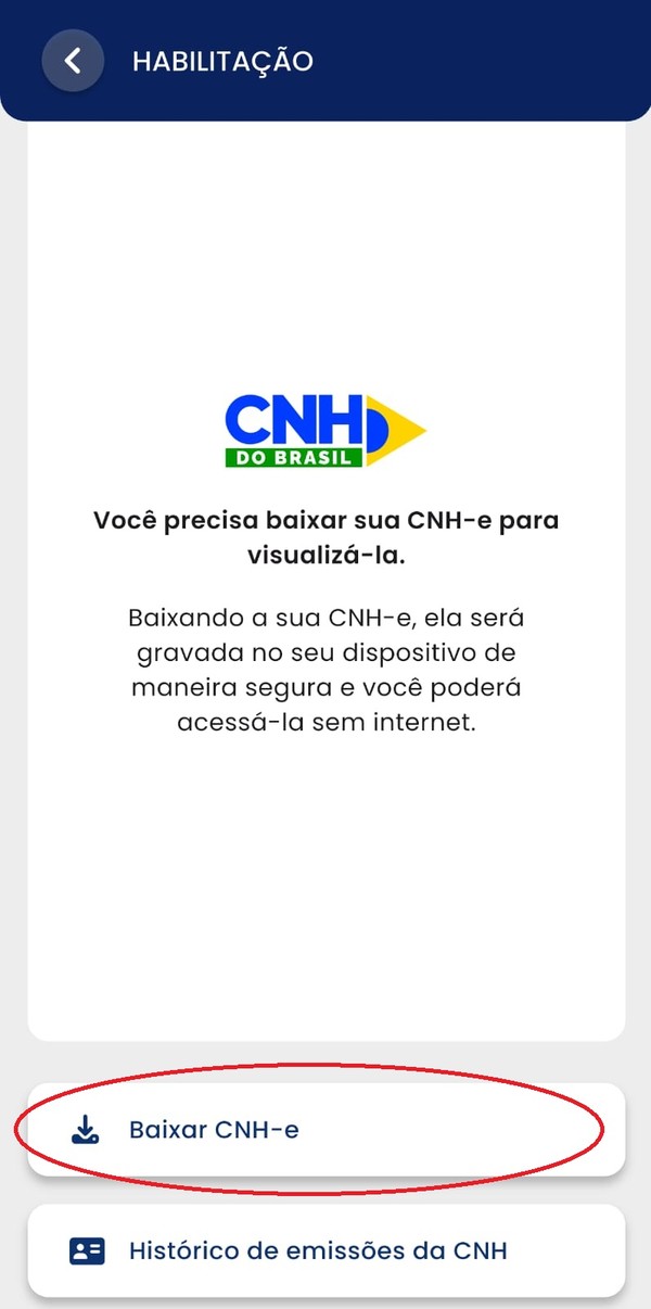 CNH do Brasil: como usar o novo aplicativo; veja o passo a passo