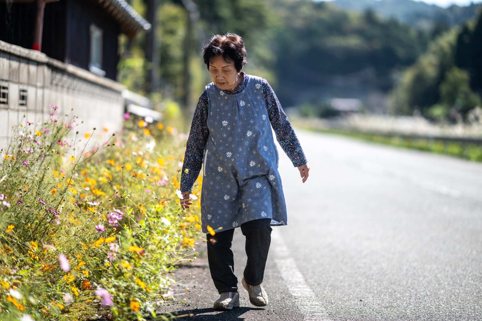 Ichinono: conheça a remota cidade japonesa com uma criança e bonecos em ...