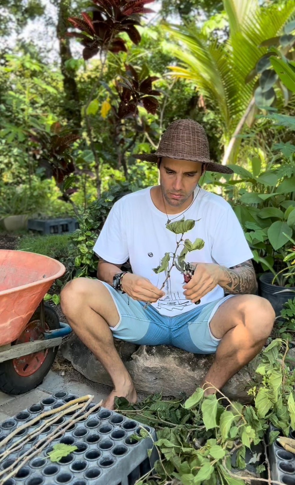 Esportes e refúgio em sítio: a vida de Daniel Cady após separação de ...