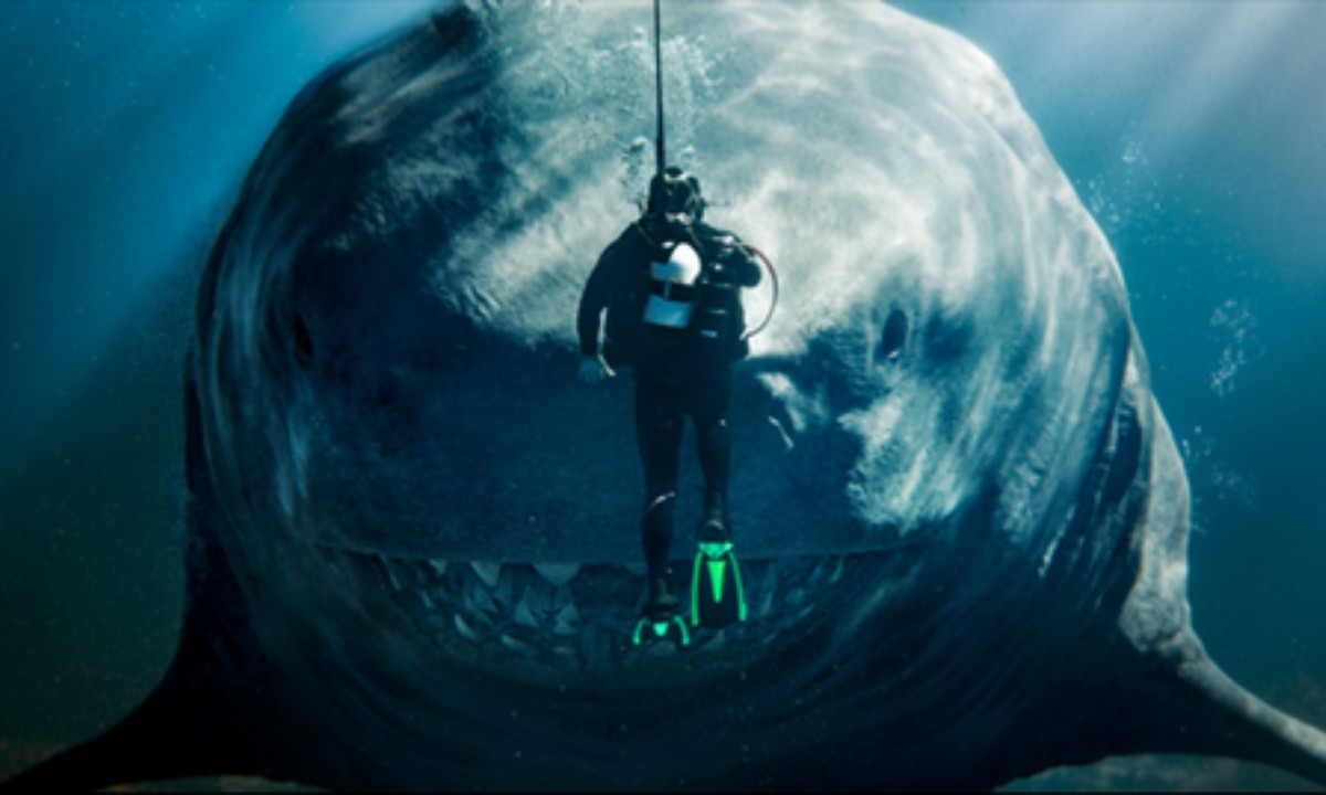 Novo estudo muda conceito sobre a forma corporal do Megalodon: mais ...