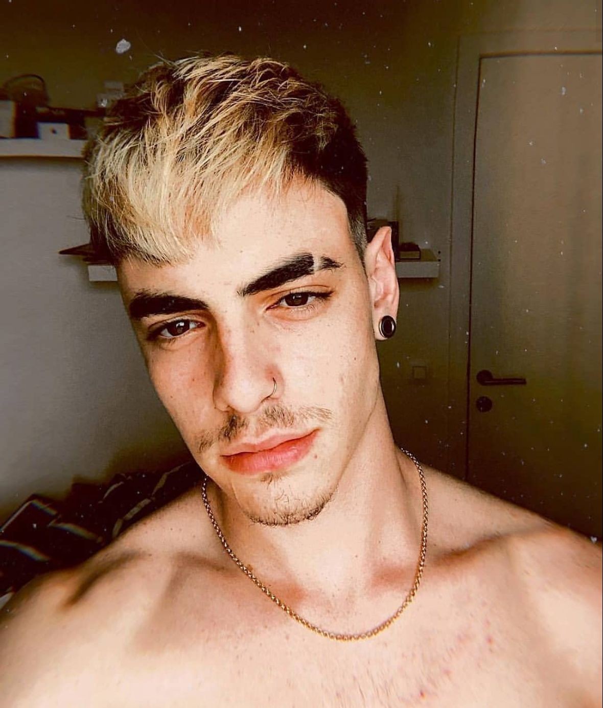 Vereador de Cotia, SP, Alexandre Frota protocolou 14 projetos de lei e ...