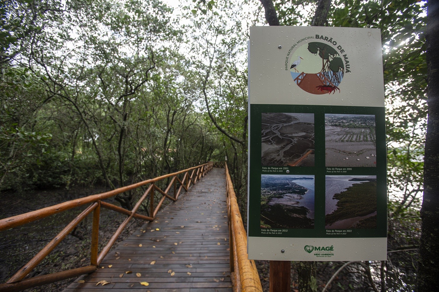 Área em Magé atingida por desastre ambiental é recuperada e será ...