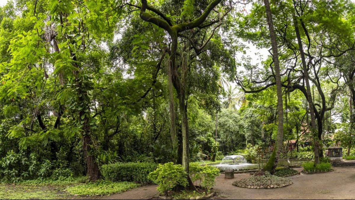 Memorial da Covid-19 vai ser construído no campus da Fiocruz, em Manguinhos