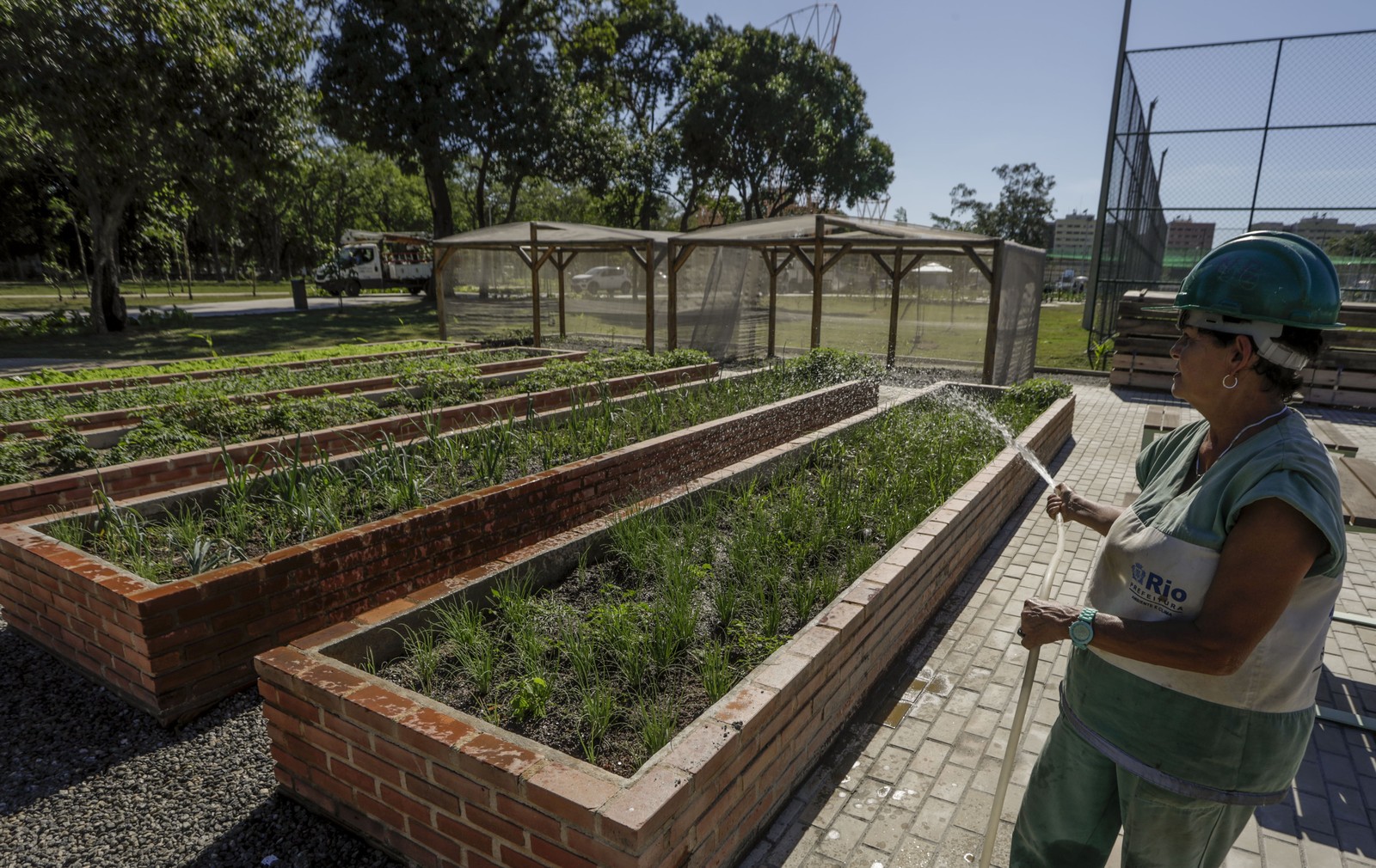 Parque Realengo Susana Naspolini: plantio de 3,7 mil árvores e ...
