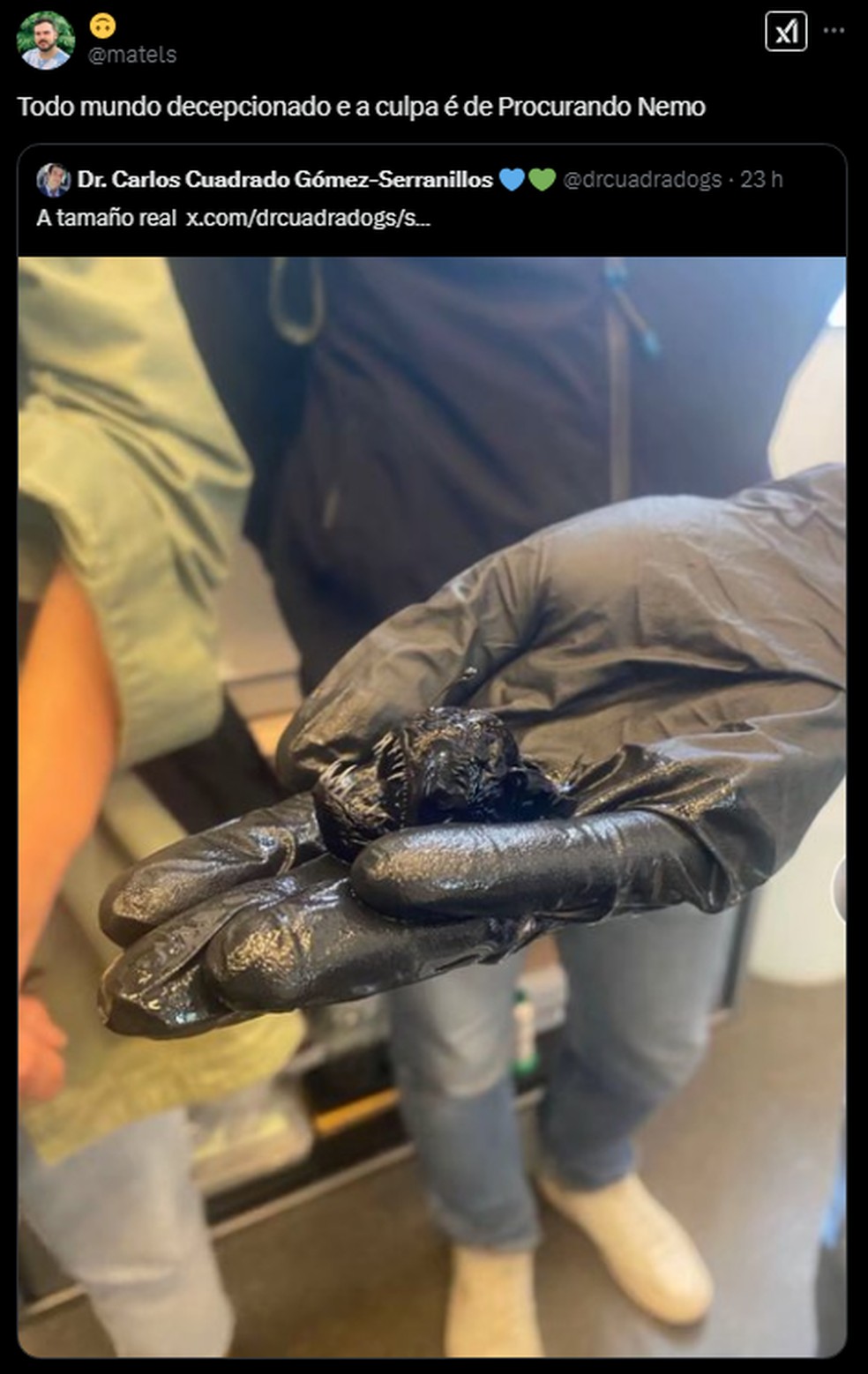 'Nemo' mentiu? Web resgata cena do filme para comparar com peixe 'diabo ...