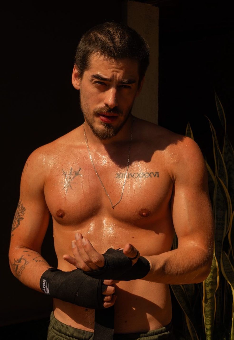 Novo affair de Odete Roitman protagonizou novela e viveu romances com ...