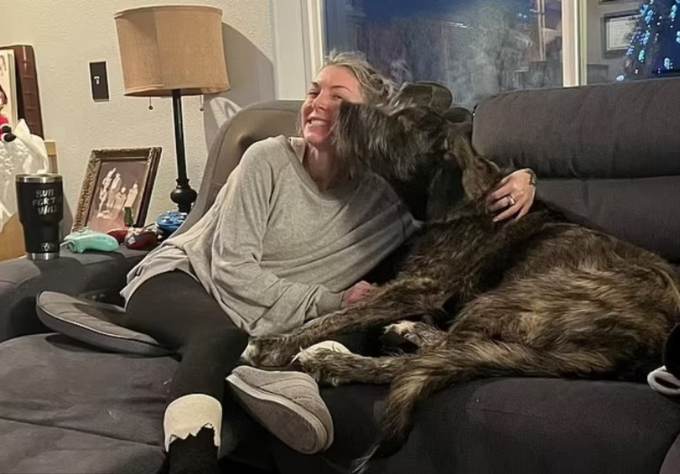 Corpo de mulher que entrou em rio congelado para salvar o seu cão é ...