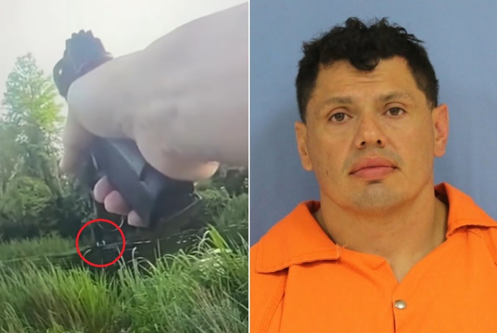 Homem em fuga da polícia acaba sendo 'capturado' por jacaré em pântano