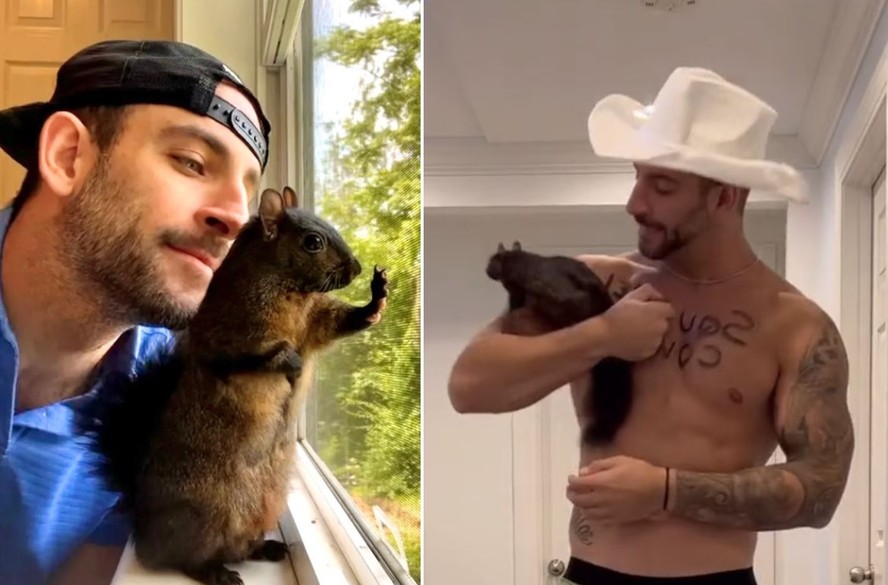 Esquilo sacrificado: caso gera comoção nos EUA, e tutores do animal ...