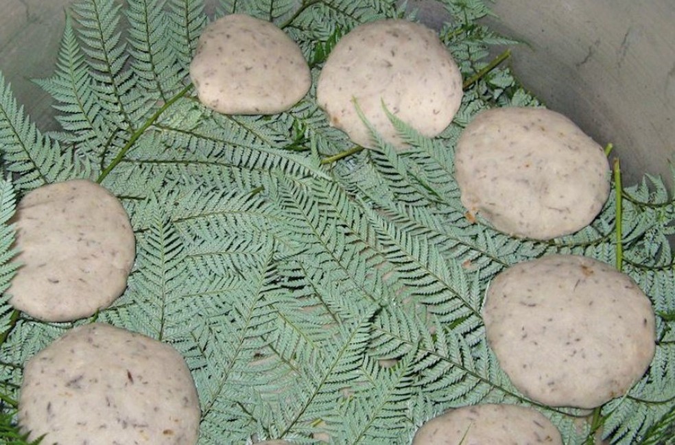 Guia TasteAtlas divulga lista dos piores pratos servidos no mundo