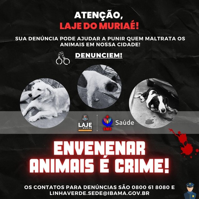 Laje do Muriaé: Secretaria de Saúde manda equipes da vigilância e de ...