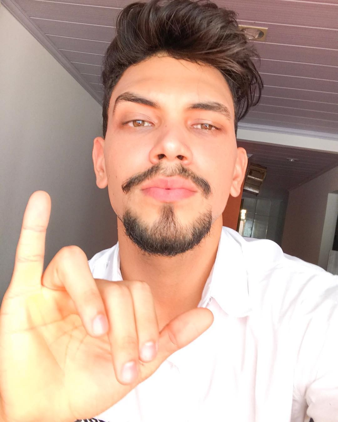 Ana Paula Renault, Naiara Azevedo e Ricardo Alface reaparecem no ‘BBB ...