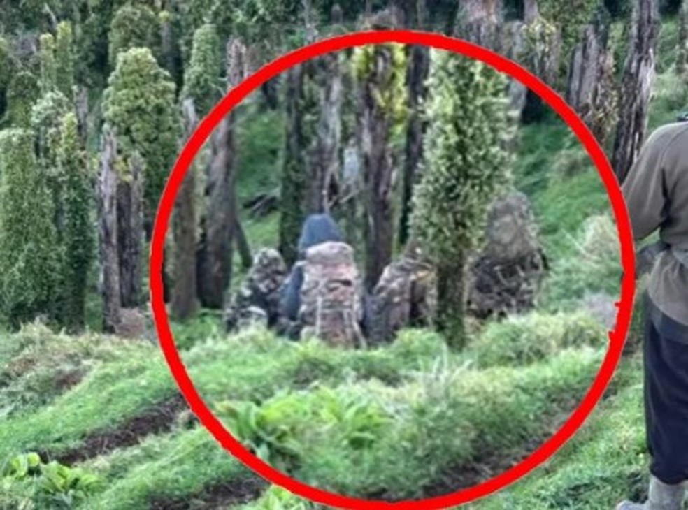 Mãe de crianças vistas com o pai fugindo após três anos diz que filha ...